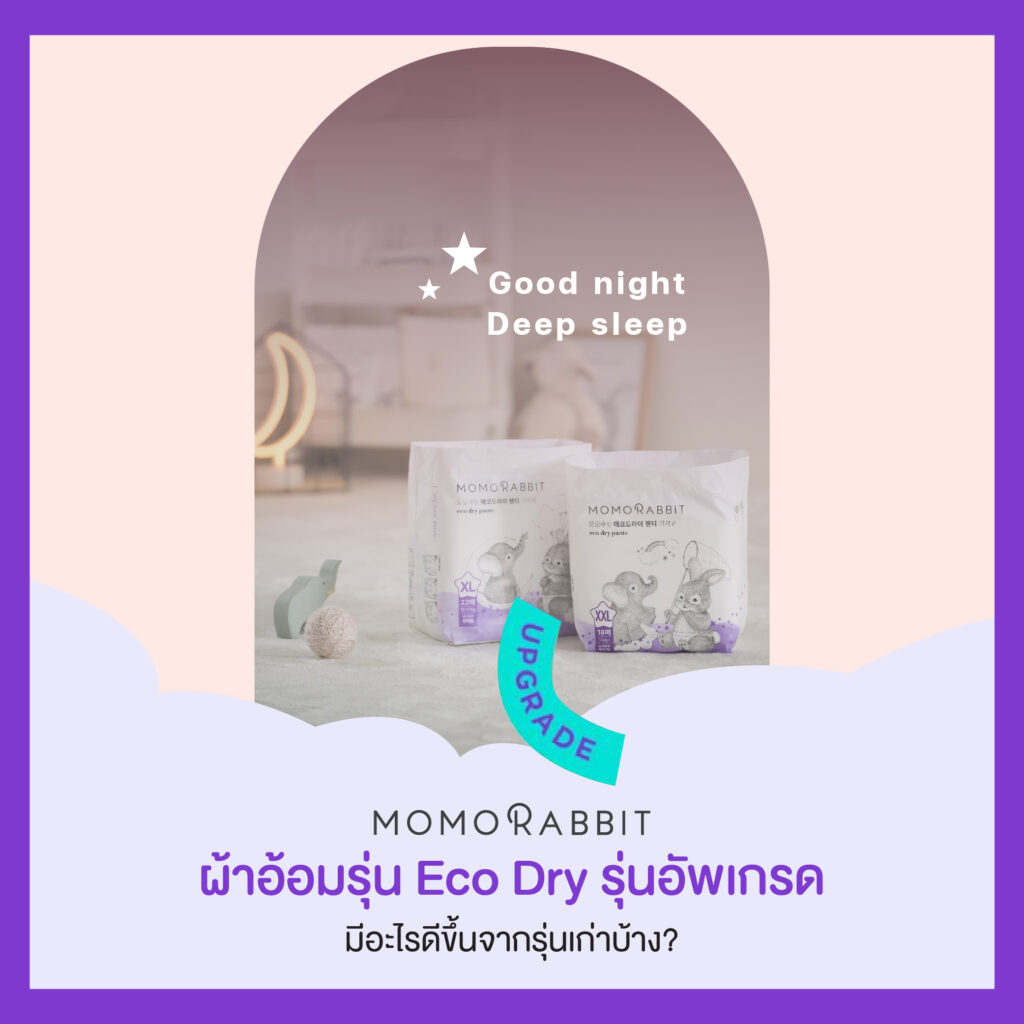Momo Rabbit Eco Dry XXL Size - Nanda Trade